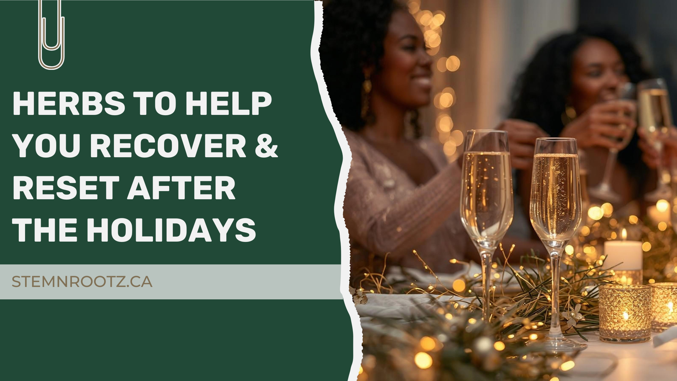 After Holiday Parties: Herbs to Help You Recover and Reset – Stem n Rootz